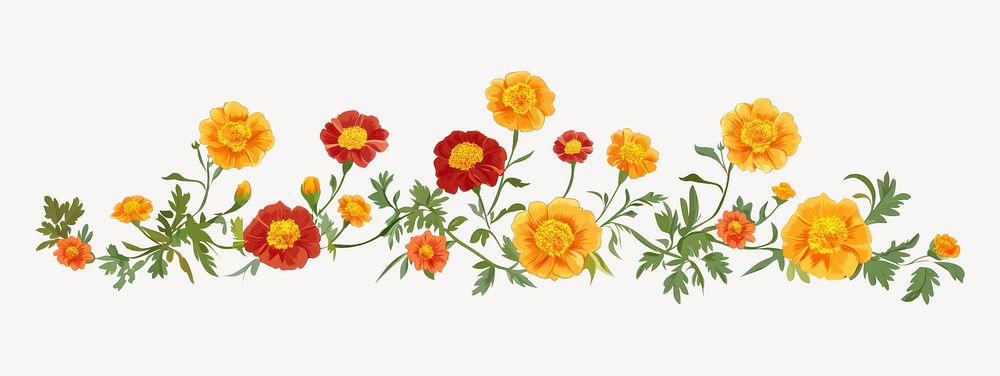 Marigold flower border flowers illustration | Free Vector - rawpixel