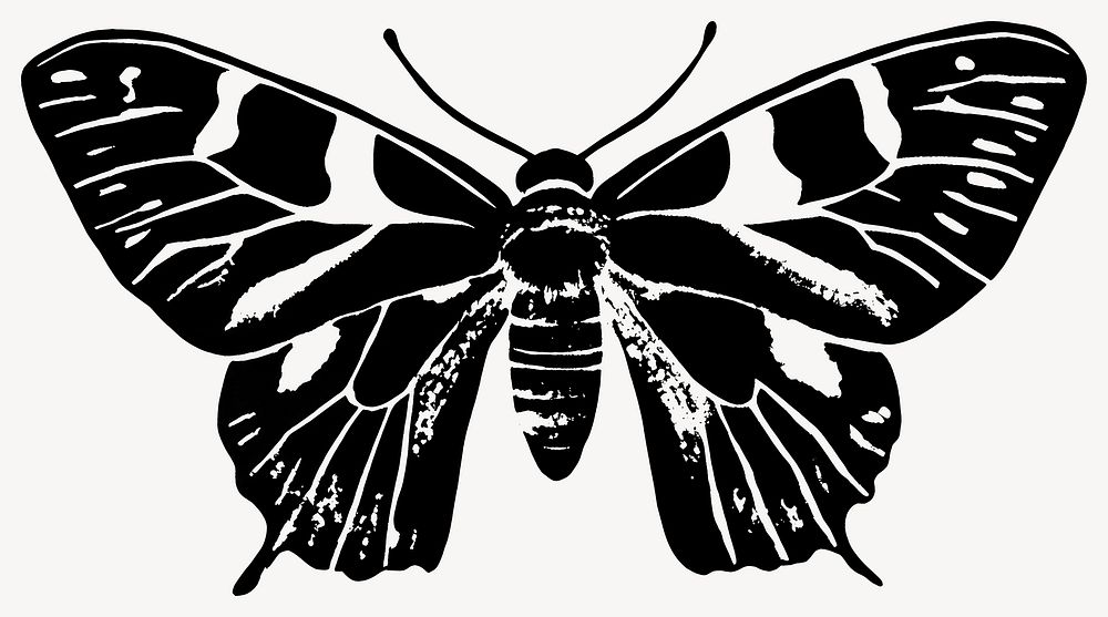 Moth wood block print butterfly | Free Vector - rawpixel