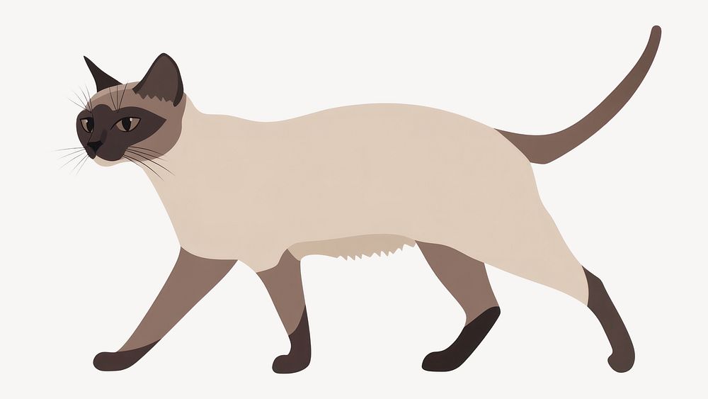 Siamese Cat siamese cat illustration | Free Vector - rawpixel