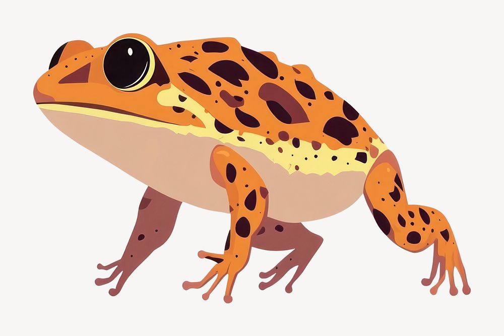 Pacman Frog frog illustration amphibian | Free Vector - rawpixel