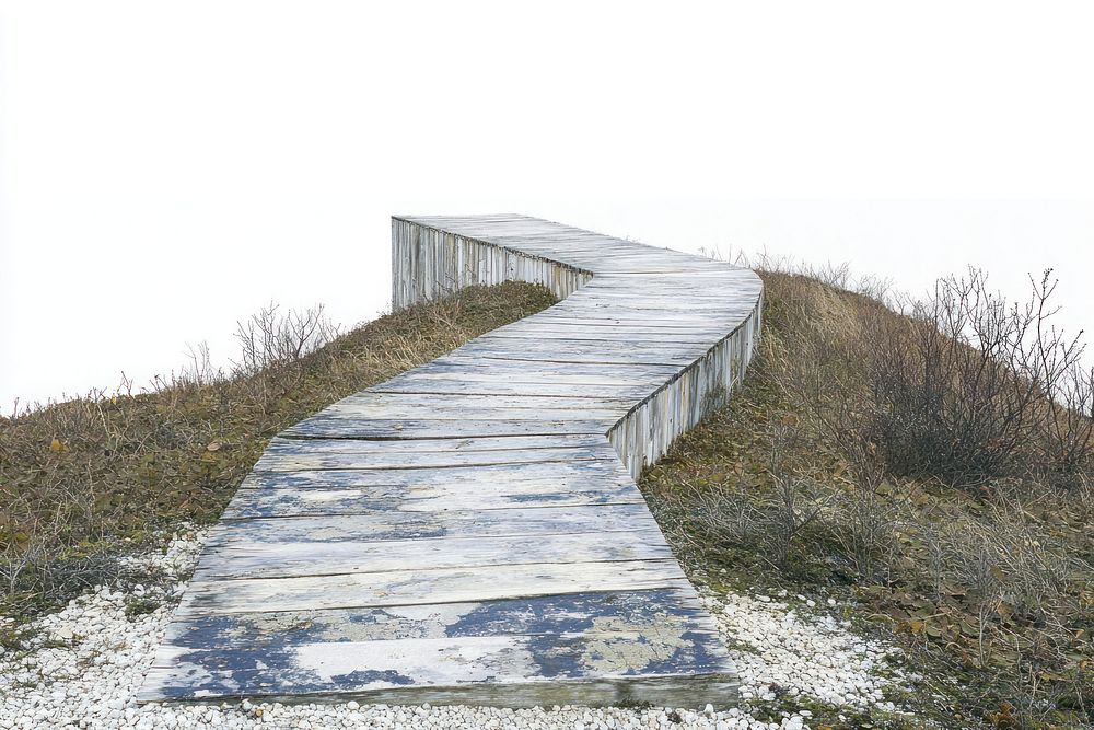 Journey path boardwalk outdoors nature. | Free Photo - rawpixel