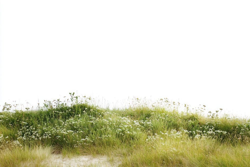 Meadow hills outdoors scenery nature | Free Photo - rawpixel