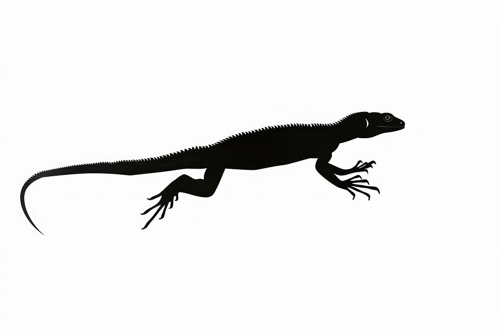 Lizard jumping lizard illustration silhouette. | Free Photo ...