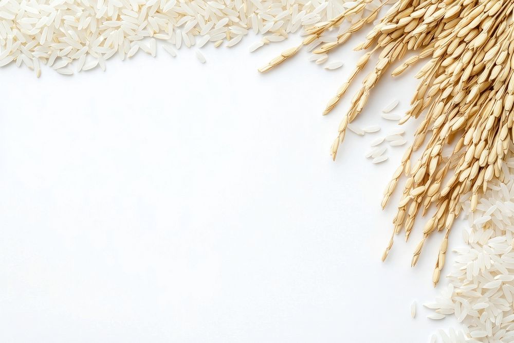 White rice border background ingredient | Free Photo - rawpixel
