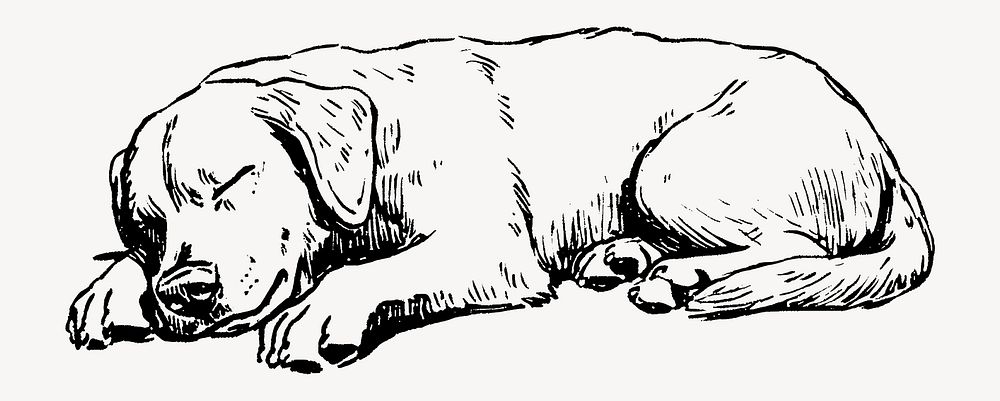 Dog sleep drawing sketch animal | Free Vector - rawpixel