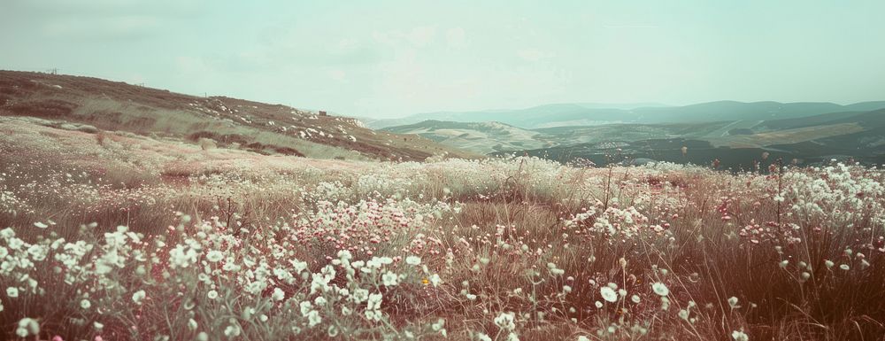 Spring flower hills flowers landscape | Free Photo - rawpixel