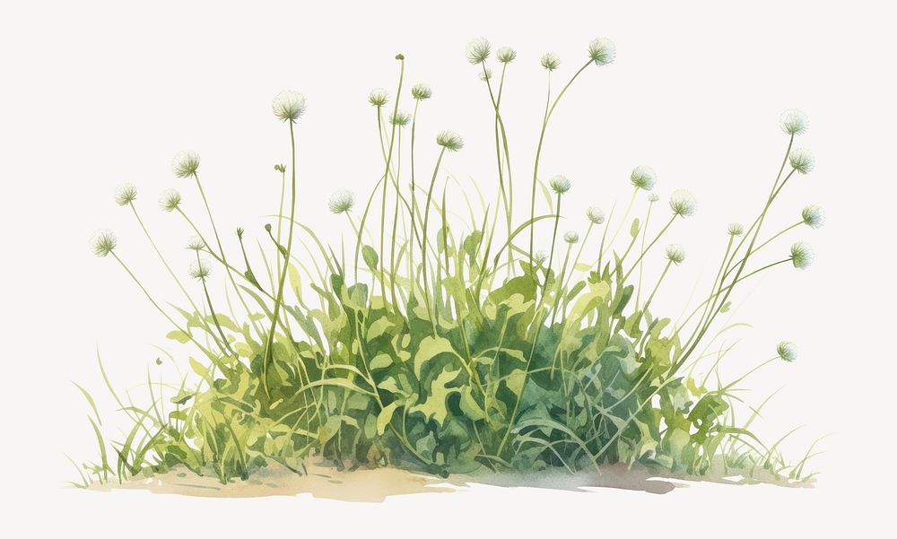 Grass shrub art illustration watercolor | Free Vector Illustration ...