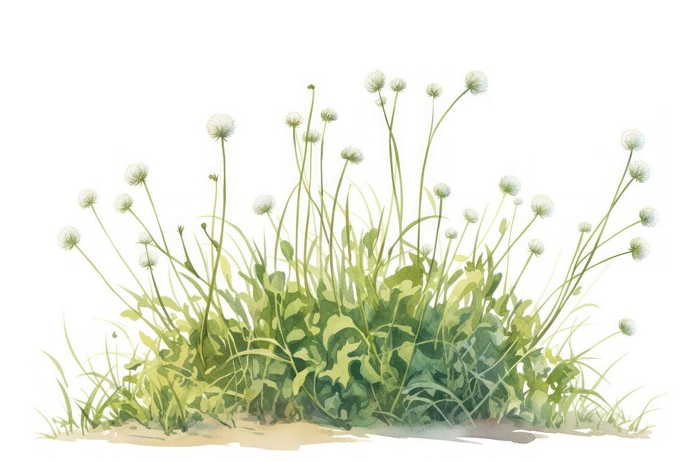 Grass shrub art illustration watercolor. | Free Photo Illustration ...