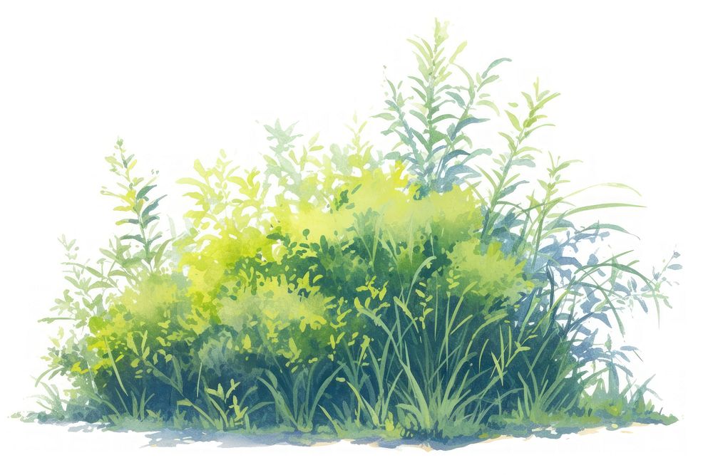 Green grass shrub art illustration | Free Photo Illustration - rawpixel