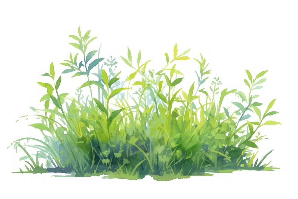 Green grass shrub art illustration | Free Photo Illustration - rawpixel