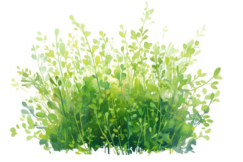 Green grass shrub art illustration | Free Photo Illustration - rawpixel
