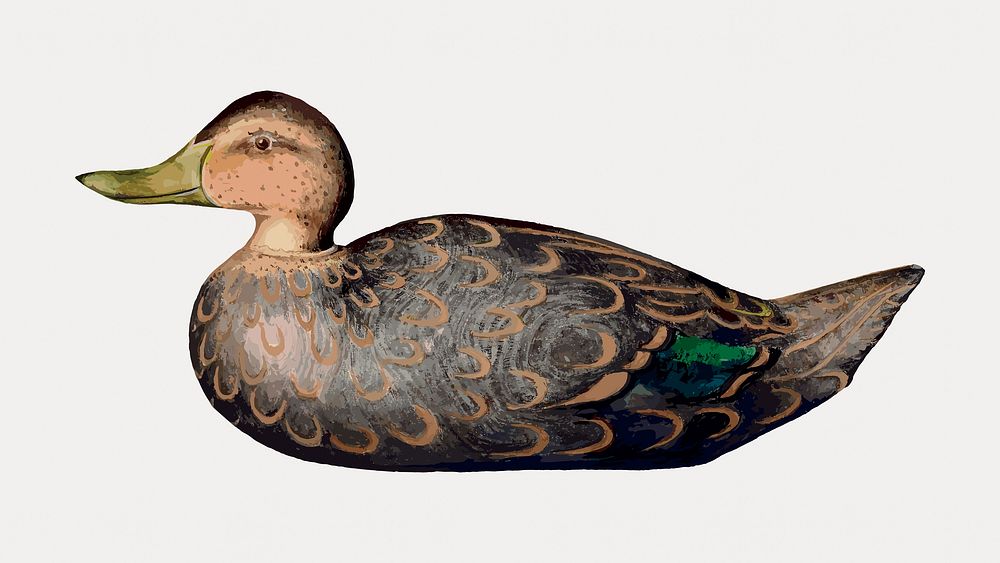 Decoy Duck, animal illustration Harriette | Free Vector - rawpixel
