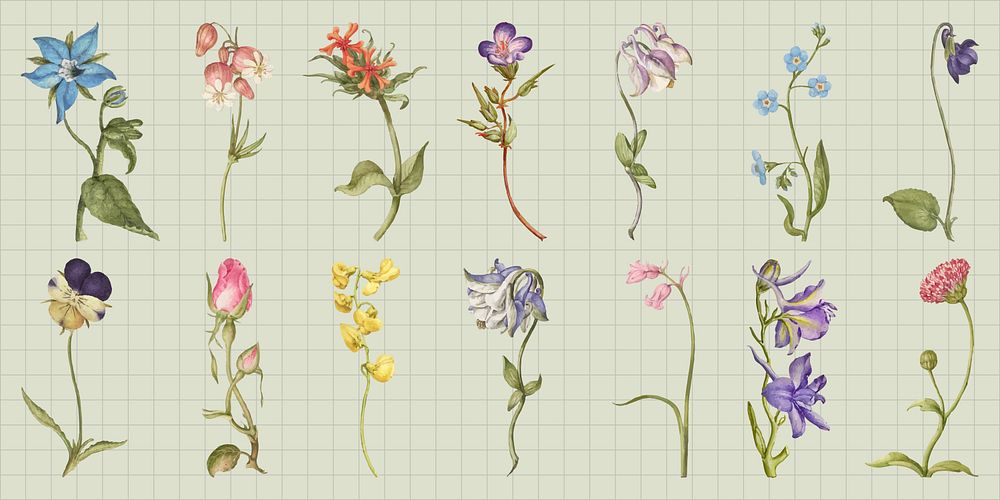 Illustrated flowers grid background. Various | Free Vector - rawpixel
