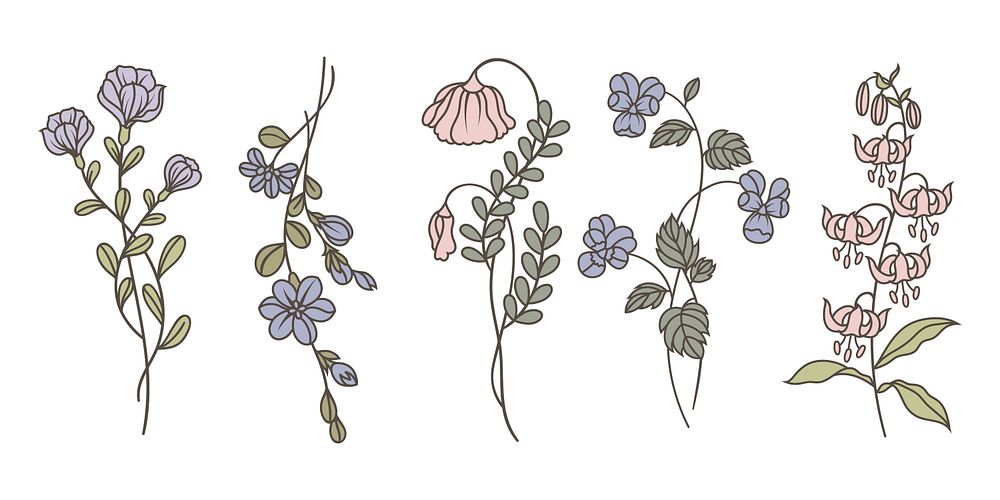 Illustration five delicate floral designs | Free Vector - rawpixel