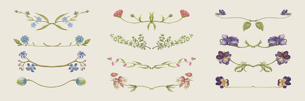 Elegant floral dividers intricate flower | Free Vector - rawpixel