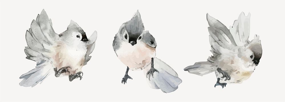 Watercolor painting three small birds | Premium Vector - rawpixel