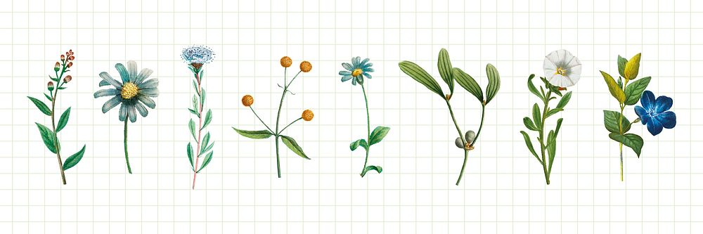 Illustration various flowers grid paper. | Premium Vector - rawpixel