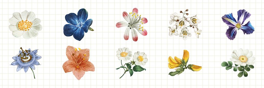 collection watercolor flowers grid paper. | Premium Vector - rawpixel