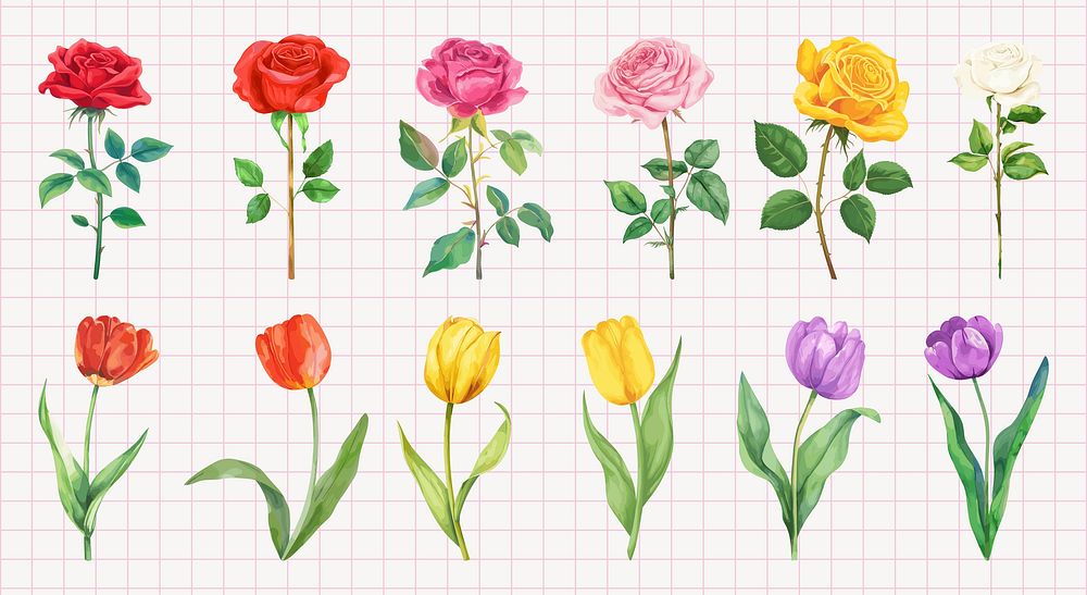 Colorful roses tulips illustration grid, | Premium Vector - rawpixel
