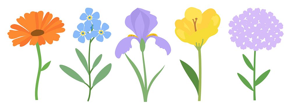 Colorful illustrated spring flowers, isolated | Premium Vector - rawpixel