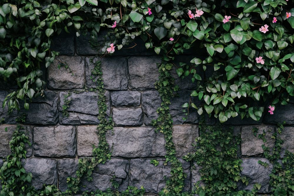 Random backdrop plants vines wall. | Free Photo - rawpixel
