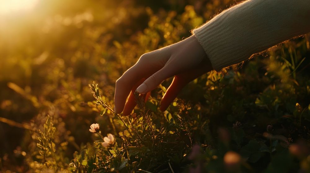 Grass hand touching nature. | Free Photo - rawpixel