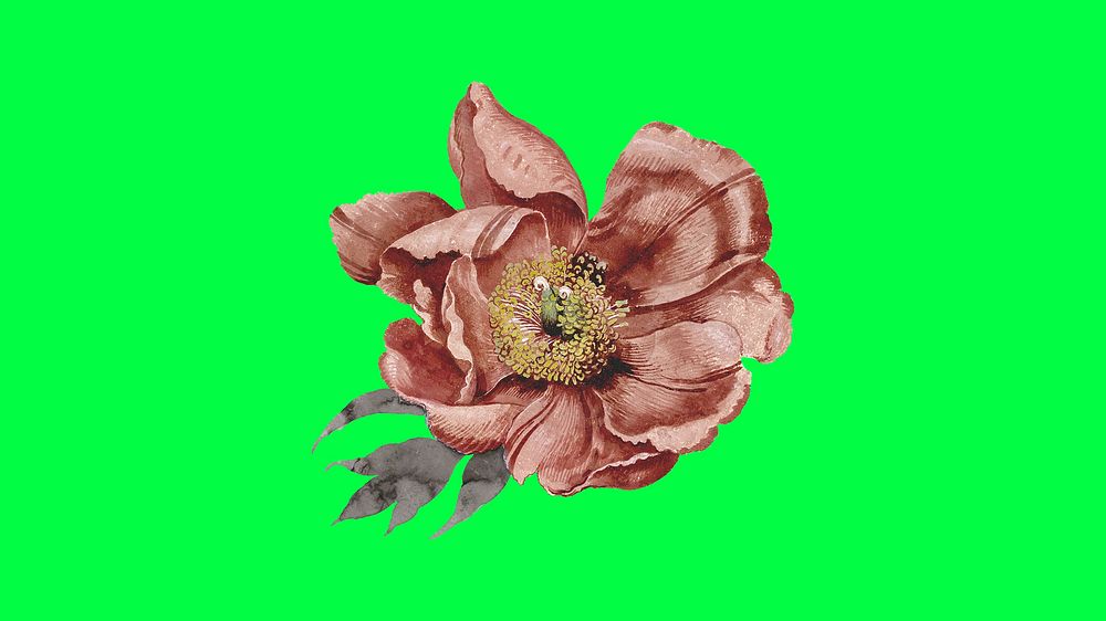 Vintage flower collage sticker green | Premium Photo - rawpixel