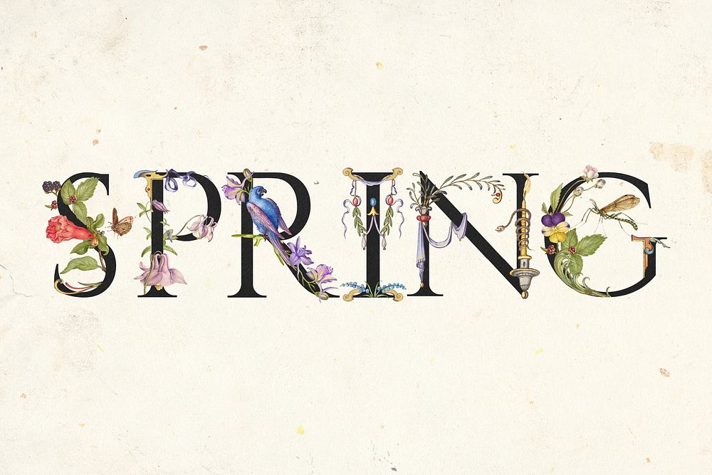 Fonts Word Alphabet Images | Free Photos, PNG Stickers, Wallpapers ...