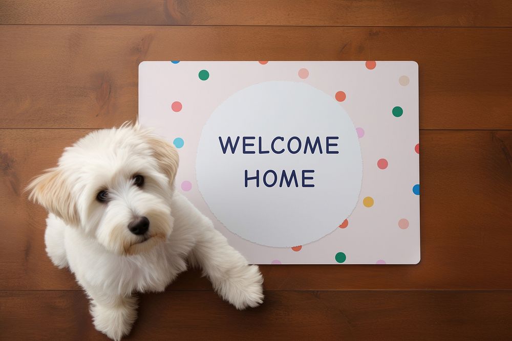 2025 Welcome Design Images | Free Photos, PNG Stickers, Wallpapers ...