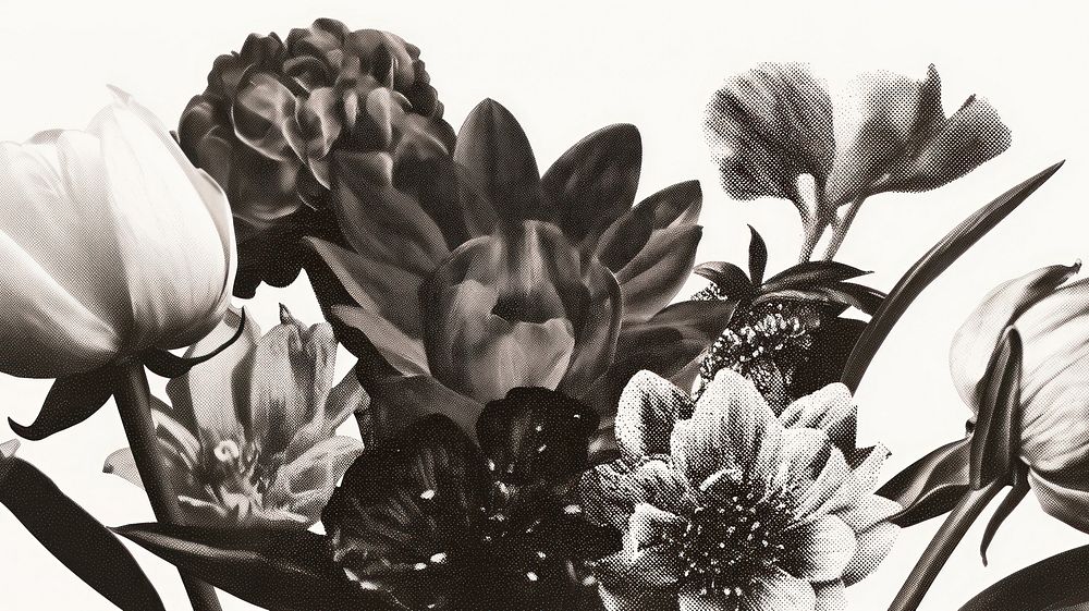 Desktop Image Light Shadow Images | Free Photos, PNG Stickers ...