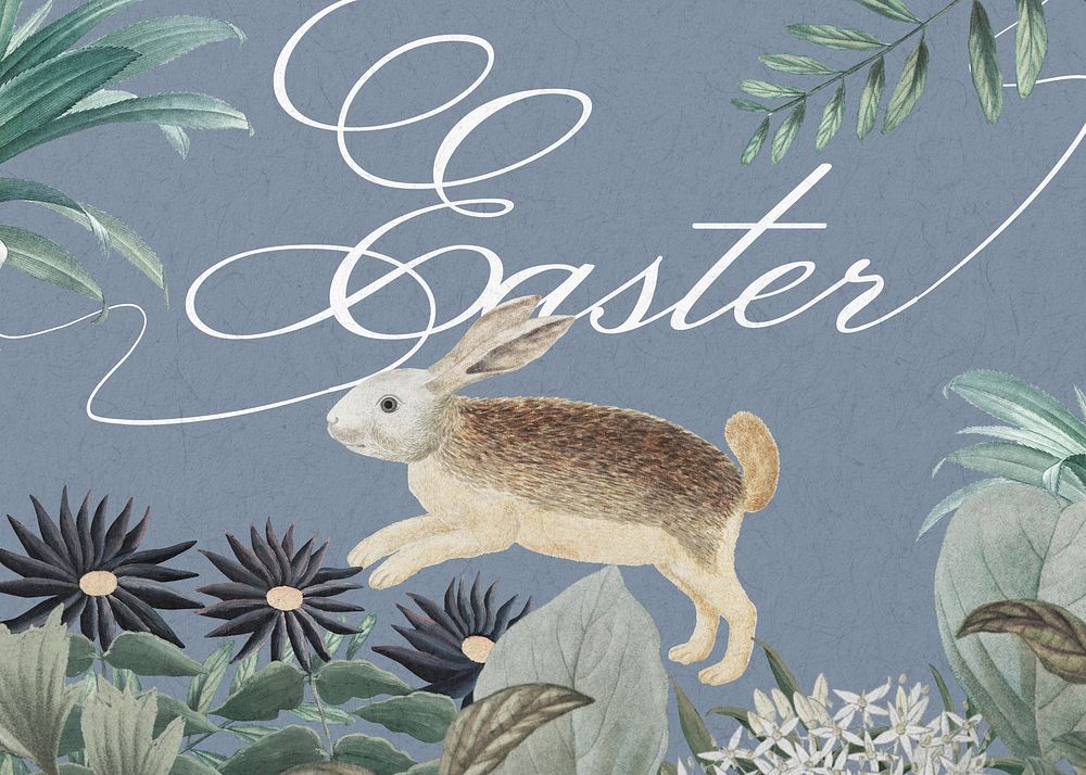 Plein+image Vintage Images | Free Photos, PNG Stickers, Wallpapers ...