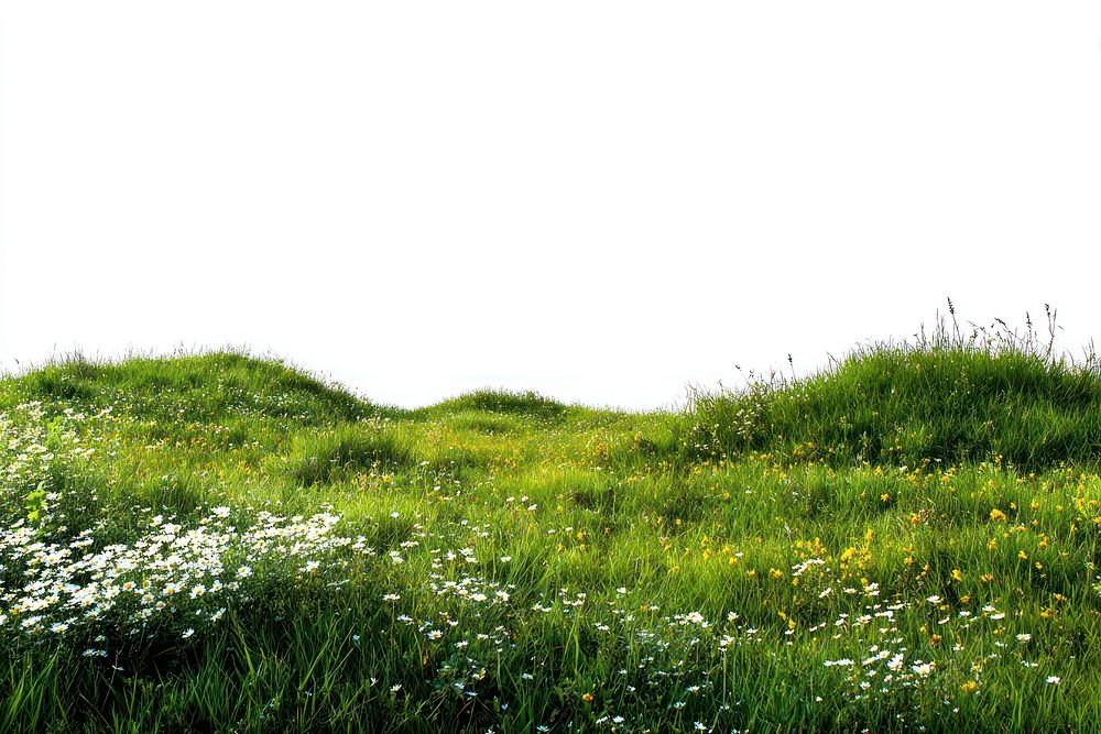 Panoramic Nature View Photo Landscape Grass Images | Free Photos, PNG ...