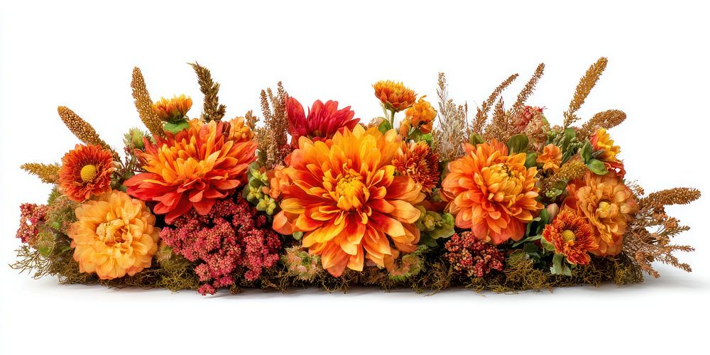 Marigold Transparent Flowers Images | Free Photos, PNG Stickers ...