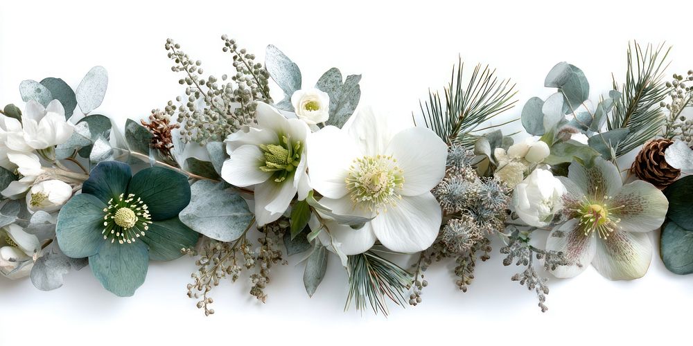 Greenery+and+pinecones PNG Images | Free Photos, PNG Stickers ...