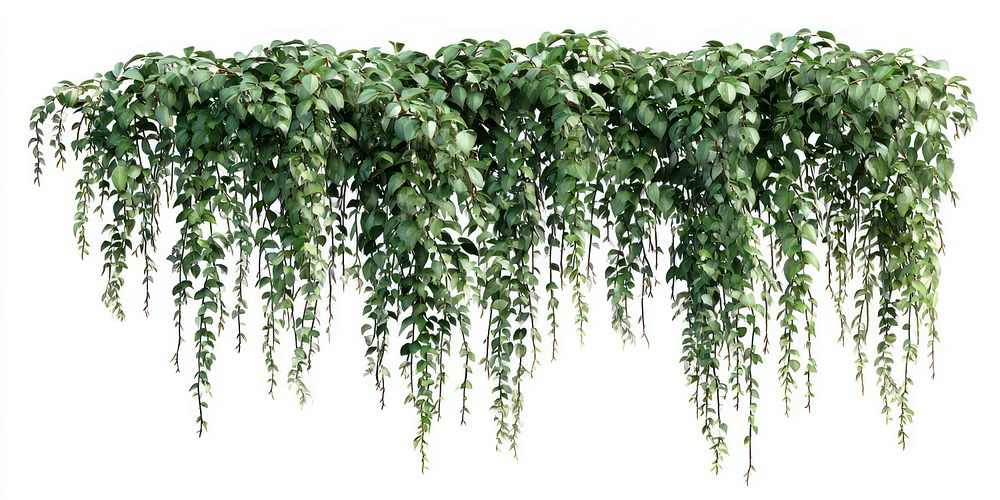 Cascade Cascading Images | Free Photos, PNG Stickers, Wallpapers ...