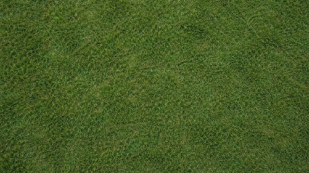 Green+desktop+wallpaper Grass Scenery Patterns Sky Images | Free Photos ...
