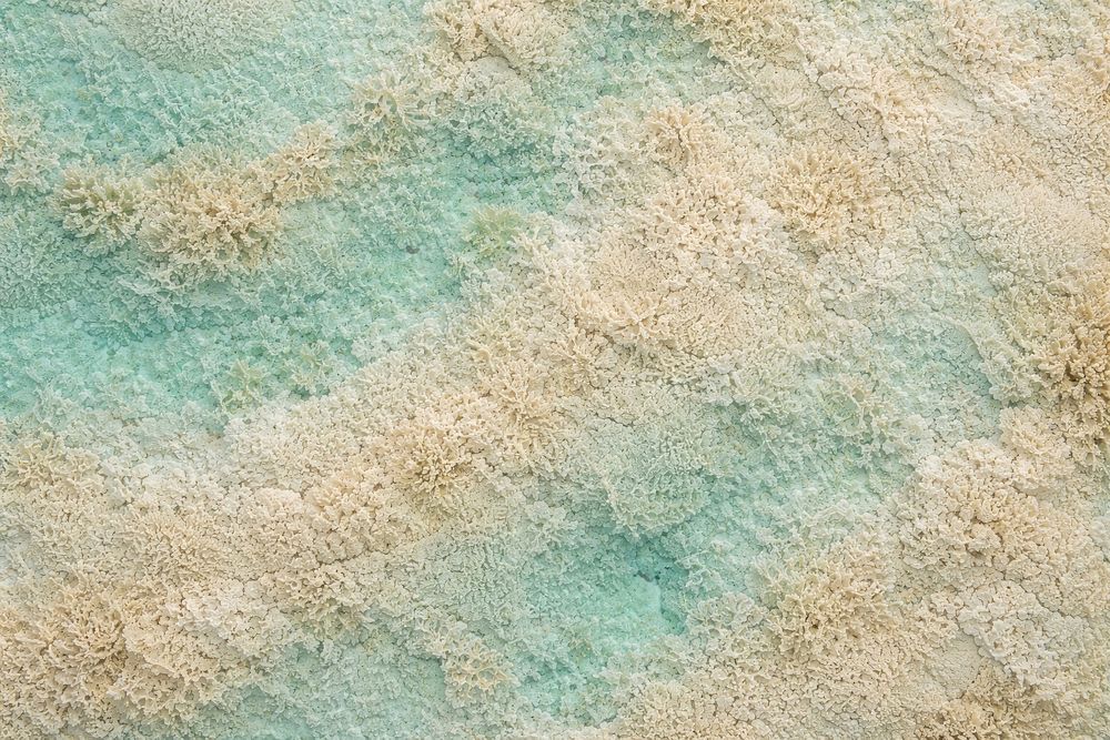 Real+life+backgrounds Sky Scenery Images | Free Photos, PNG Stickers ...