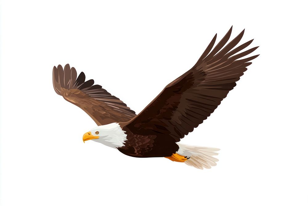 Clipart+of+an+eagle Isolated Images | Free Photos, PNG Stickers ...