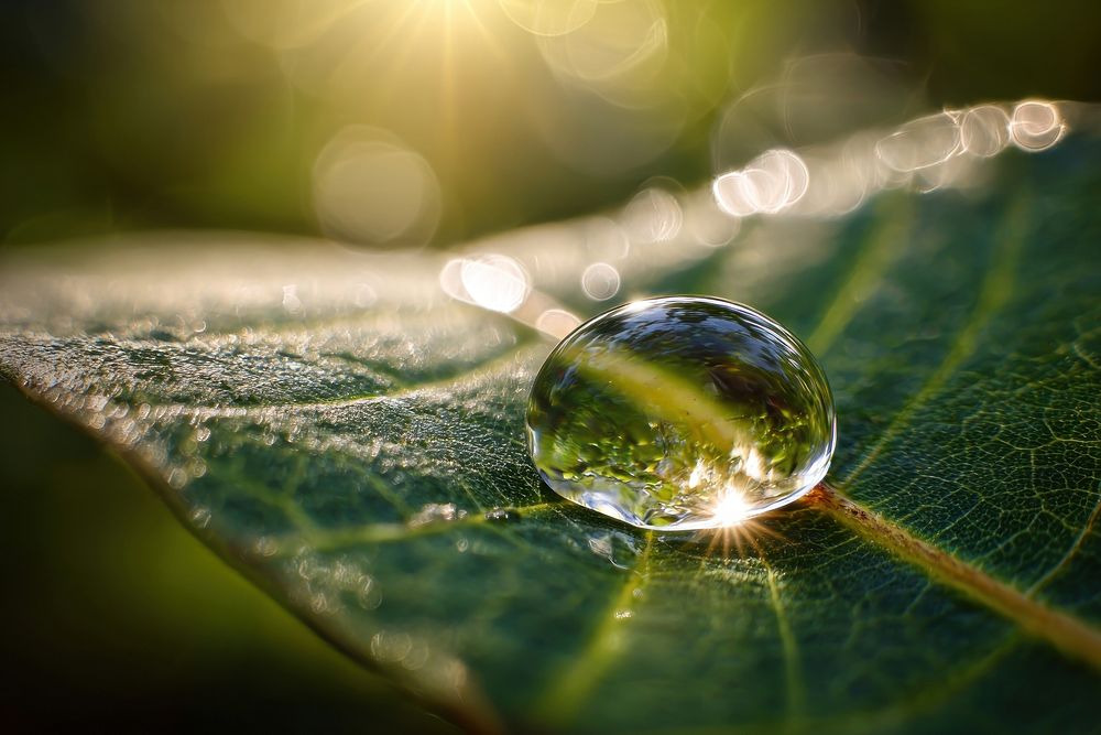 Zoom+background+wallpaper Photo Texture Images | Free Photos, PNG ...