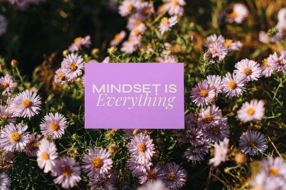 Daisy Fields Spring Images | Free Photos, PNG Stickers, Wallpapers ...