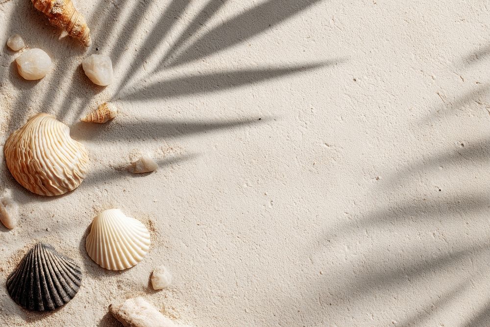 Falling Lights Leaves Shadow Texture Images | Free Photos, PNG Stickers ...