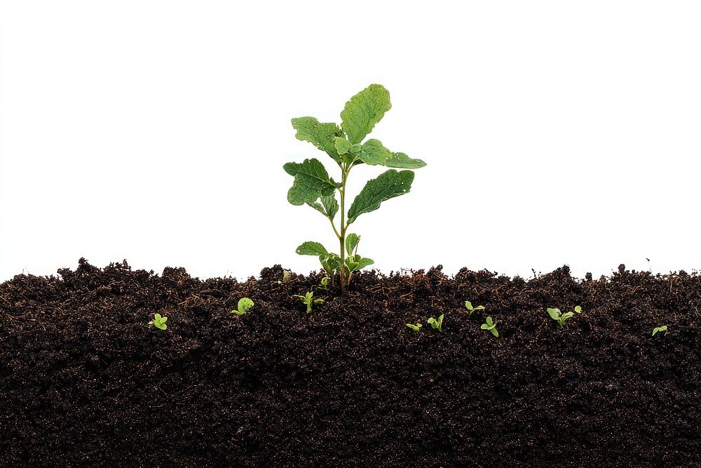 Rich Young JPEG Images | Free Photos, PNG Stickers, Wallpapers ...