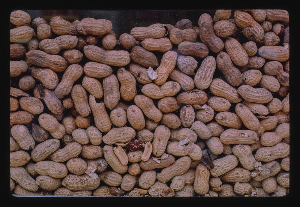 Peanuts Boardwalk, Seaside Heights, New | Free Photo - rawpixel