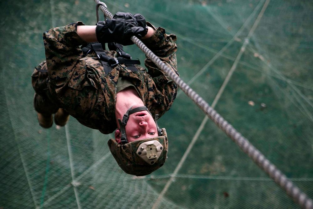 Hanging Out | Free Photo - rawpixel