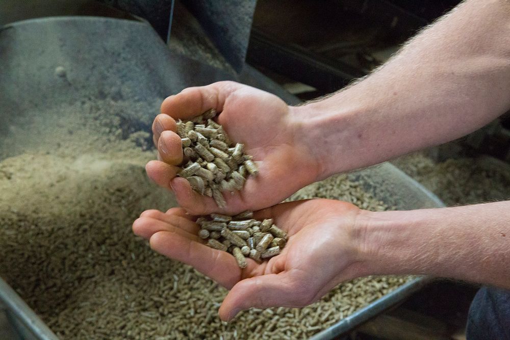 Wood pellets ET5A3109Jensen Lumber Co | Free Photo - rawpixel