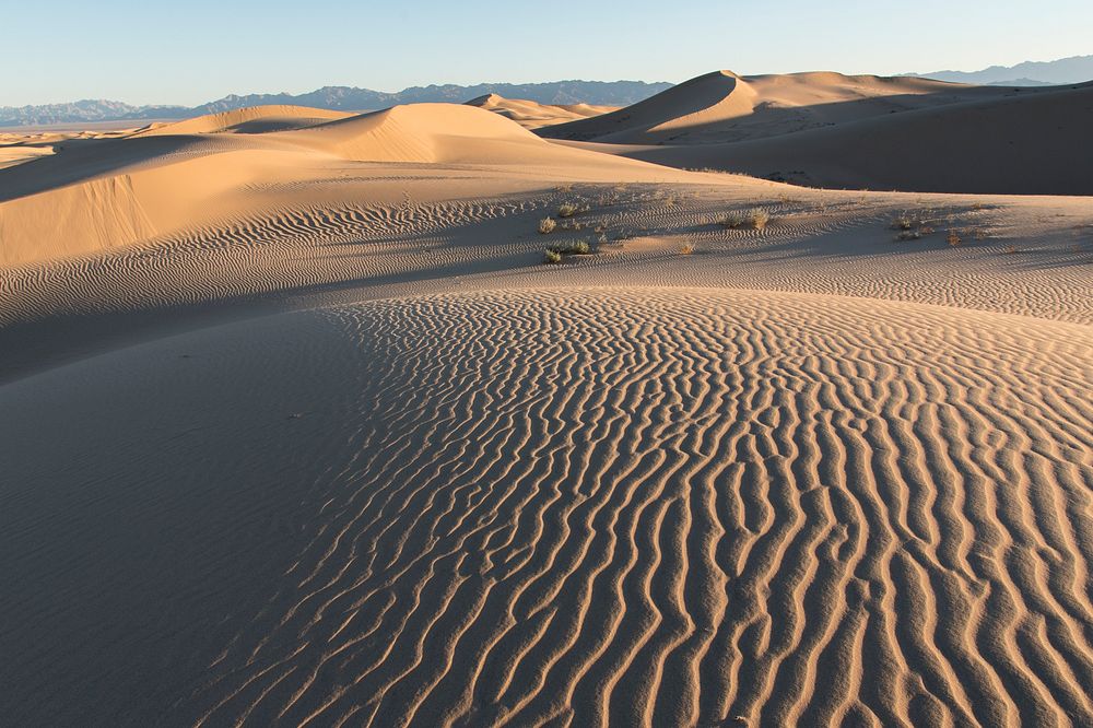 Small dunes, part Mojave Trails | Free Photo - rawpixel