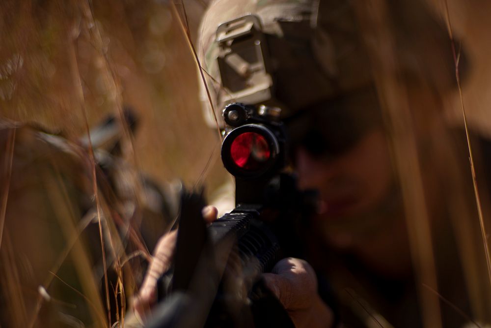 Original public domain image Flickr | Free Photo - rawpixel