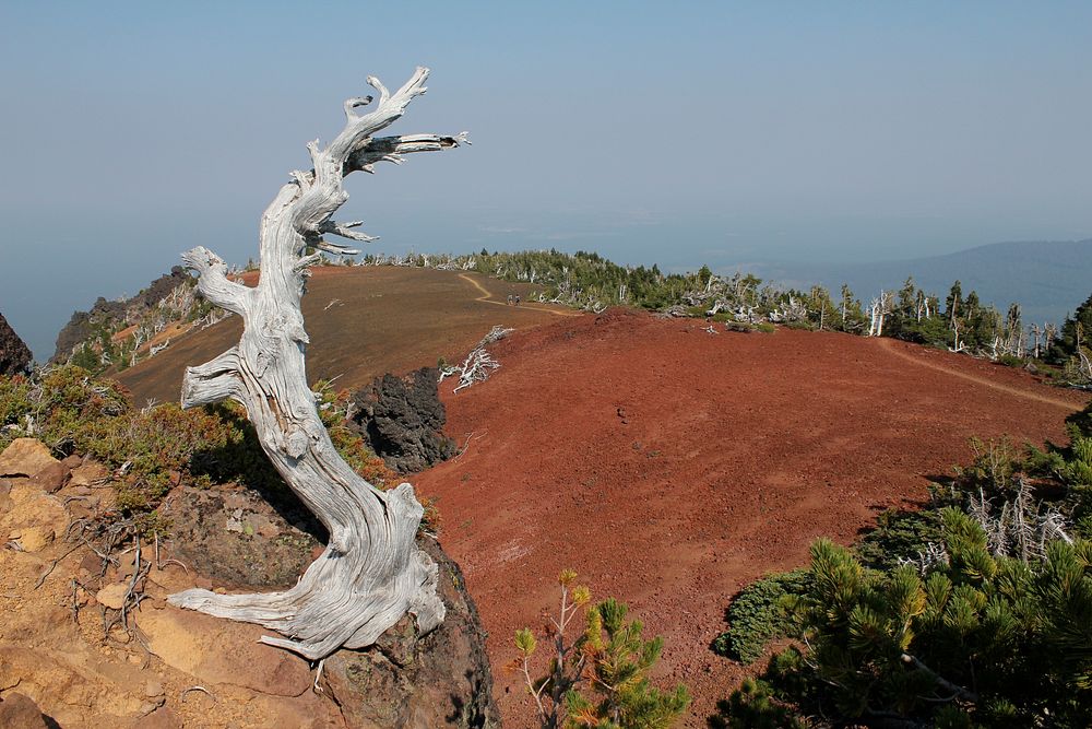 Original public domain image Flickr | Free Photo - rawpixel