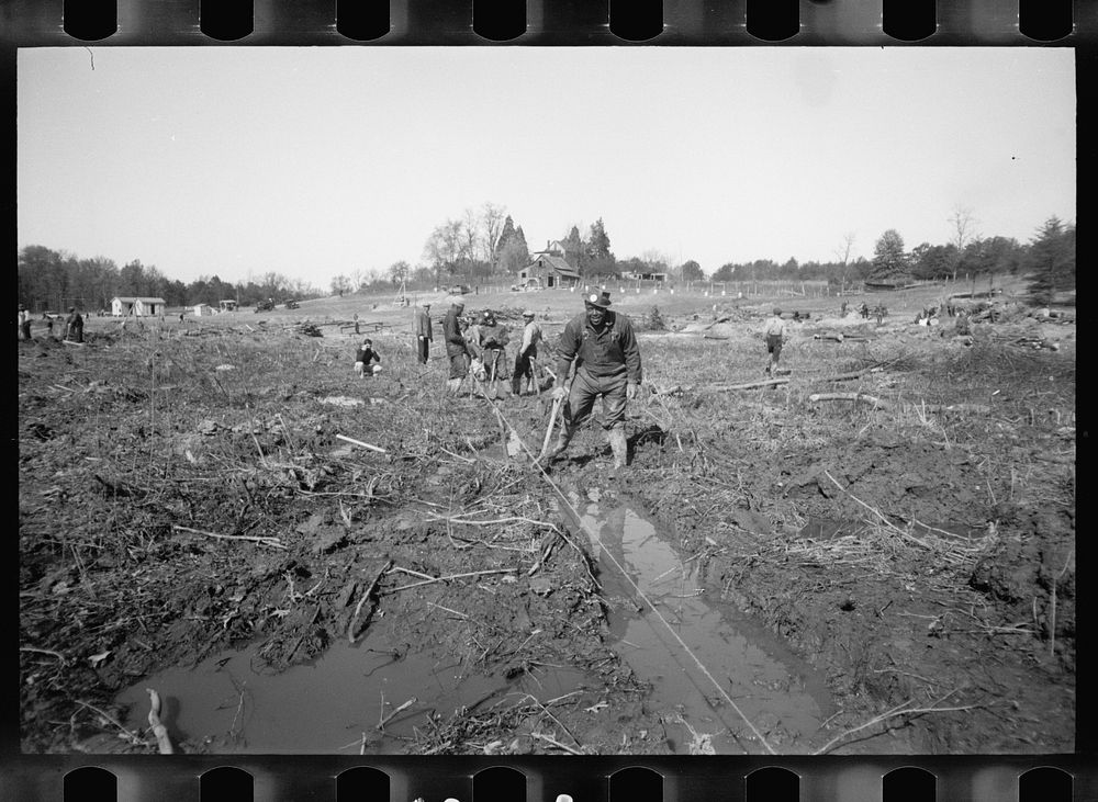 Transient workers clearing land, Prince | Free Photo - rawpixel