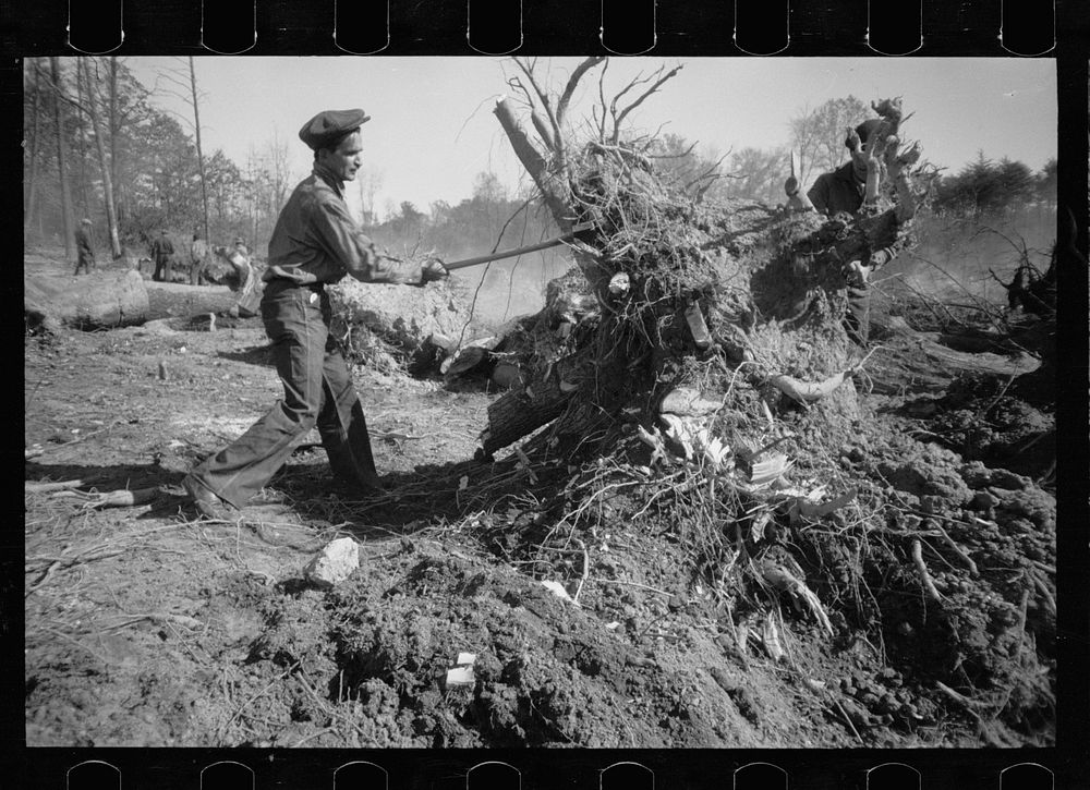 Transient worker clearing land, Prince | Free Photo - rawpixel